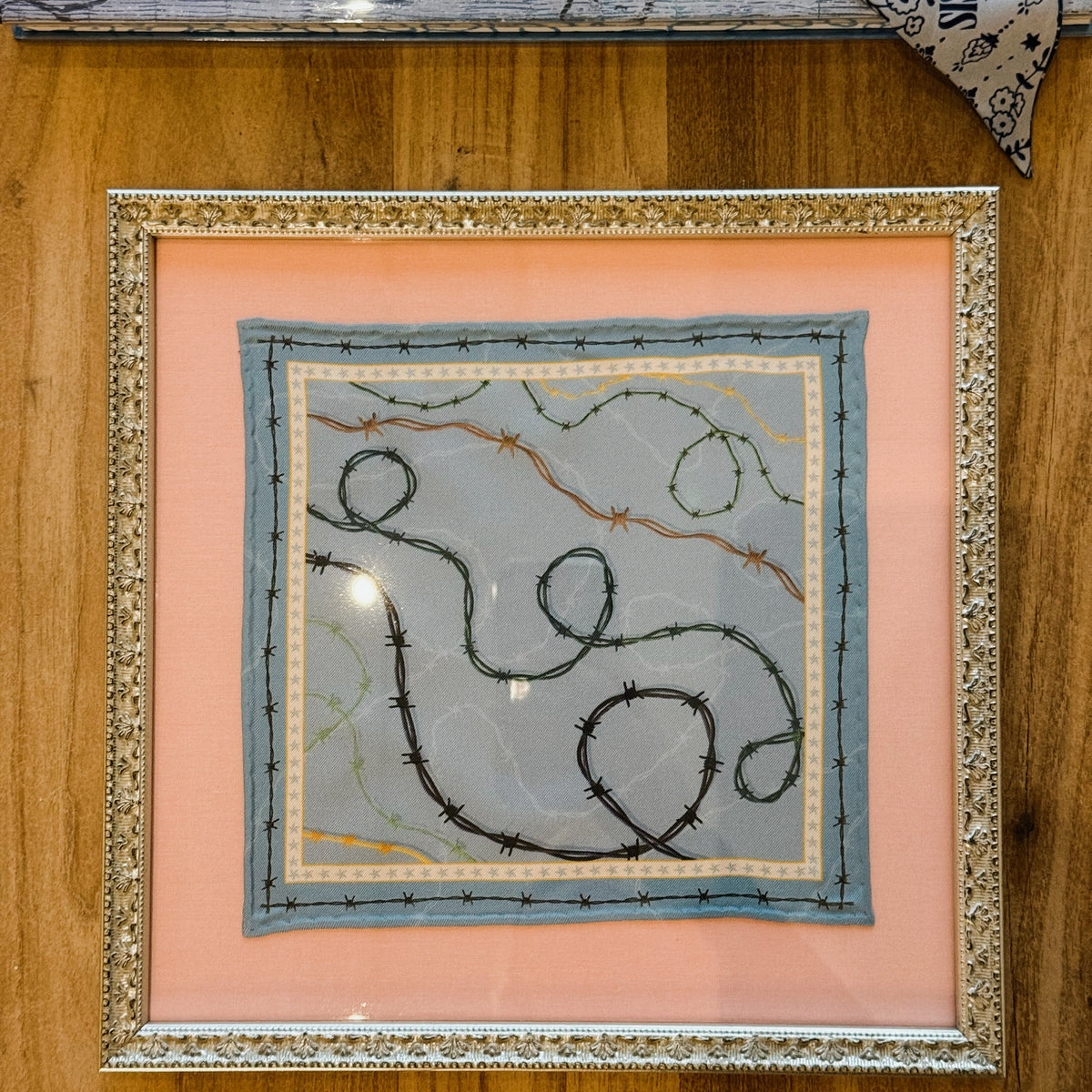 Barbed Wire on Pink with Silver Frame – Sister The Brand